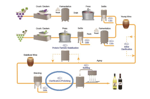 Polishing Filtration & Colloid Removal - Wine | Pall Corporation